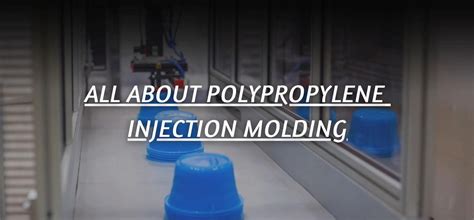 Pp Polypropylene Injection Molding Everything You Need To Know