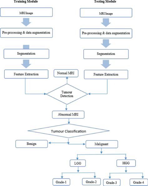 Brain Tumor Detection Using Image Processing Approach Springerlink
