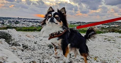 Professional In Modeling Album On Imgur