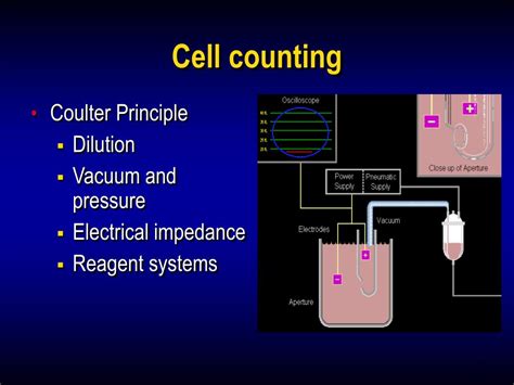 Ppt Automated Hematology An Overview Powerpoint Presentation Free