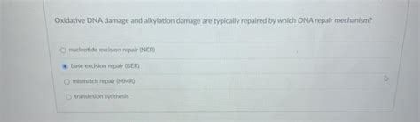 Solved Oxidative Dna Damage And Alkylation Damage Are
