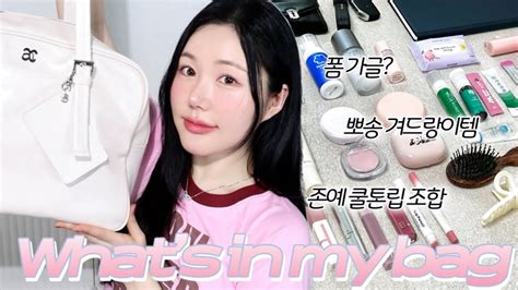 한 개라도 없으면 외출 못하는 보부상의 왓츠인마이백👜 폼가글 뽀송 겨드랑이템 겨쿨향수 추천 10만원대 지갑추천