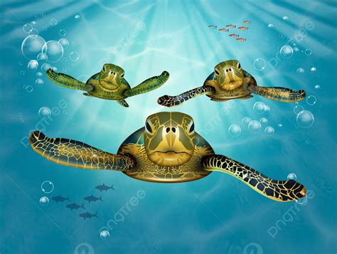 Sea Turtle Migration Background Images Hd Pictures And Wallpaper For Free Download Pngtree Sea Turtle Migration Background Images Hd Pictures And Wallpaper For Free Download Pngtree