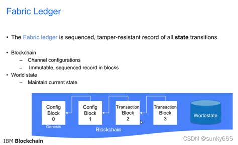 Hyperledger Fabric Peer的内部工作原理和实现方法peer Chaincode Instantiate 原理 Csdn博客