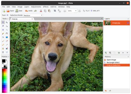 Ultimate List Of Curated Apps For Newbies Linux Apps To Make Life Easy NixFAQ