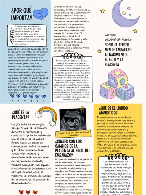 3 Meses De Embarazo Pdf El Embarazo Salud Y Bienestar