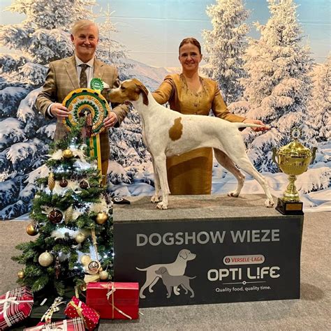 Latest News Birdbrook Rosettes Ltd