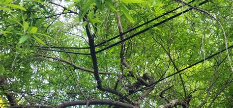 ‎error Codes With Official Xfinity Router Which Causes Outages Every Couple Of Hours For A Few