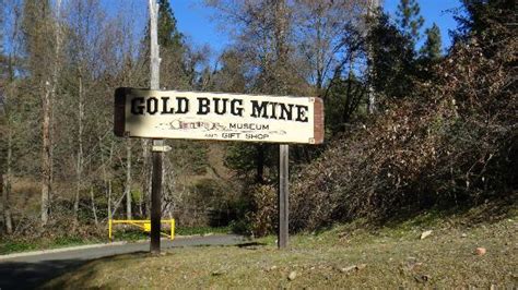 Hangtowns Gold Bug Park Placerville 2020 All You Need To Know