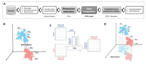 Figure The Schematic Workflow Of RISC A Flowchart Of The Main Steps In RISC B