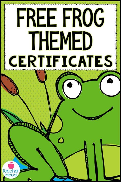 Frog Theme Classroom Printable Happy Birthday Certificate Lost Tooth