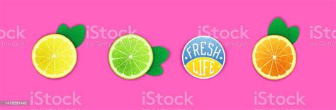 감귤류 세트 밝은 라벨이있는 레몬 오렌지 라임 및 민트 잎 조각 신선한 삶 벡터 포스터 3차원 형태에 대한 스톡 벡터 아트 및