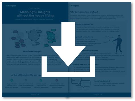 Text Analysis Netigate