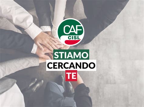 Il Caf Cisl Fvg Cerca Operatori Fiscali Per Il 2026 Cisl Fvg