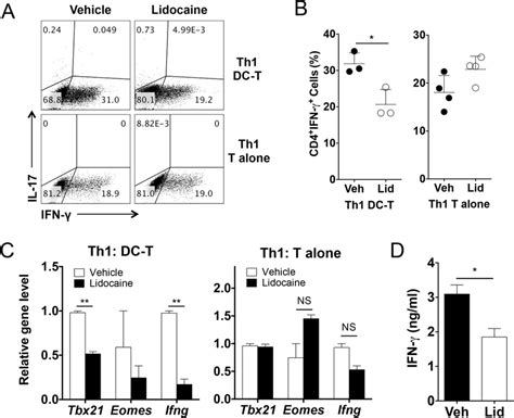 Lidocaine Inhibits Dendritic Cell Mediated Th1 Cell Differentiation In