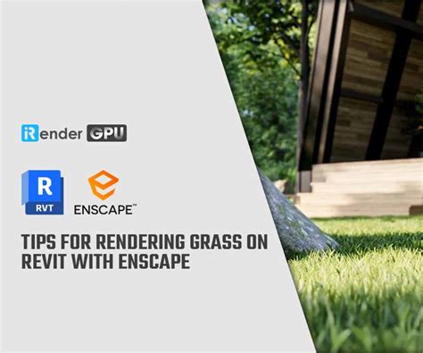 Rendering Grass In Revit Archives IRender Cloud Rendering Service