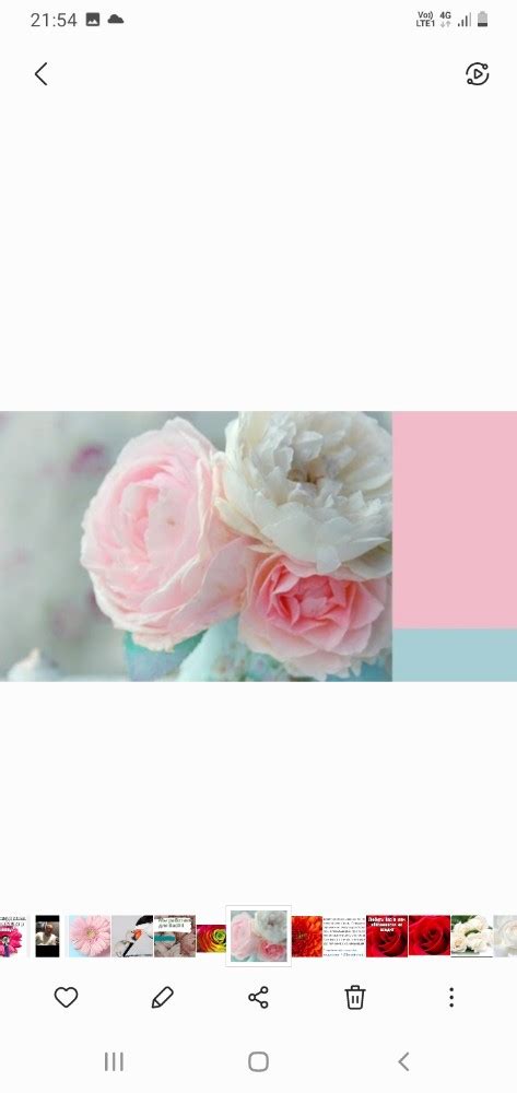 Создать мем розы на мятном фоне нежные розы нежно розовый пион Картинки Meme