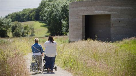 Visiting Runnymede And Ankerwycke Surrey National Trust