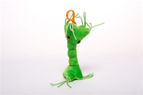 Giantmicrobes® Nerve Cell Key Chain Centre Of The Cell