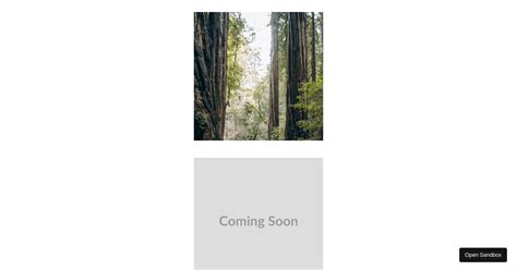 image lazy loading with intersection observer codesandbox