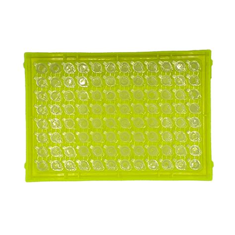 Quick Lysis Solution