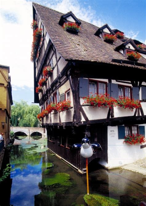 ♥ 집 관련 창문 지하실 문 현관 꿈 해몽 네이버 블로그