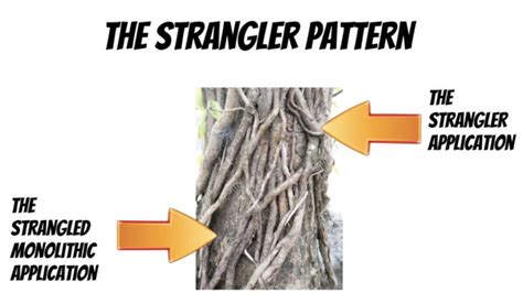the strangler pattern microservices design patterns in practice made