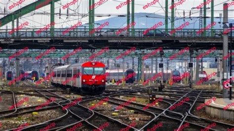 Build Transportation Information System Using Laravel Eshoptrip