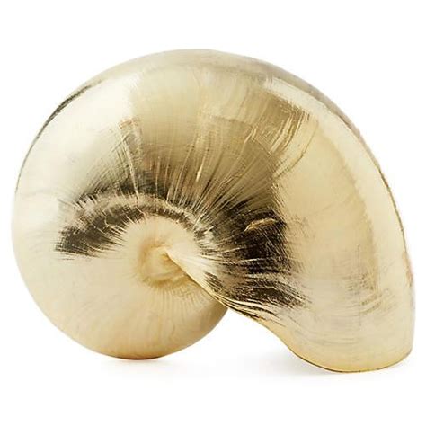 Philmore Usa Gold Plated Chamber Nautilus A Spectacular Addition To
