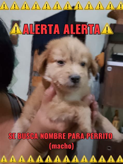 Overview For Ghost In Memory