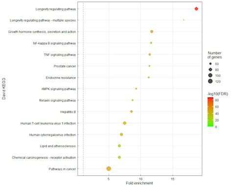 Visualize Data Using R Studio By Phucnguyen Fiverr