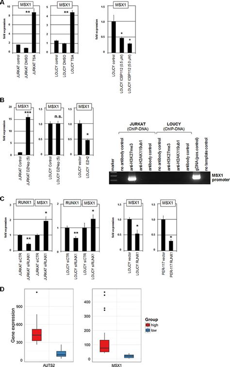 Deregulation Of Polycomb Repressor Complex 1 Modifier Auts2 In T Cell Deregulation Of Polycomb Repressor Complex 1 Modifier Auts2 In T Cell