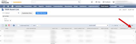 How To Display The Quantity On The Form Of The Fixed Asset — Netsuite Community