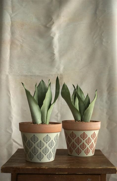 플랜테리어 공기정화식물 탁상용식물 킨텍스화분 플랜트클래스 다름플라워스튜디유 네이버 블로그