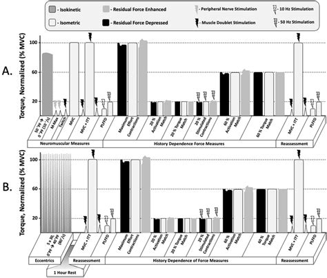 Schematic Timeline Of Experimental Procedures Participants First Lab Download Scientific