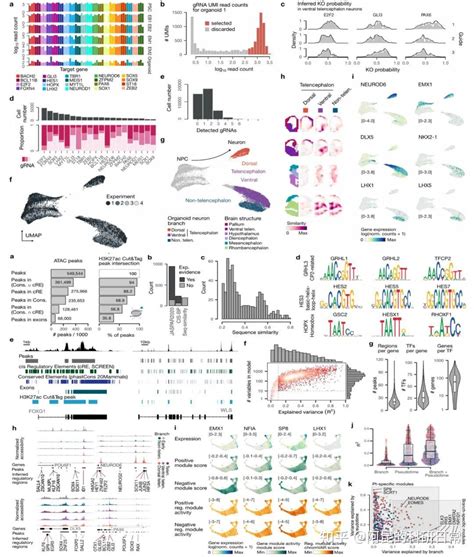 作图没思路看这里科研审美积累第21期 知乎