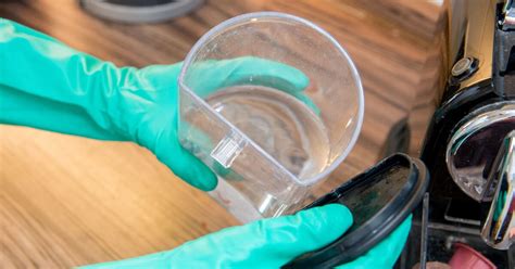 El Moho Un Buen Motivo Para Limpiar A Diario La Cafetera Infobae