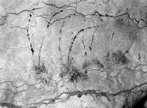 Пещера Ласко 1946 год Пикабу