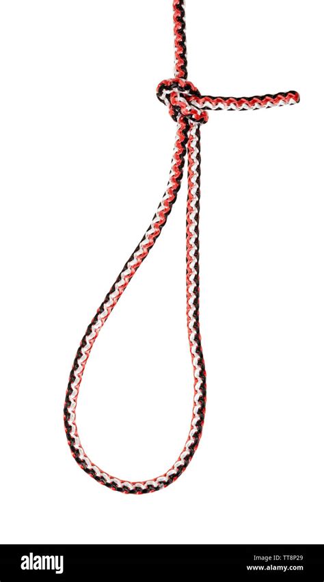 Angler S Loop Perfection Loop Knot Tied On Synthetic Rope Cut Out On White Background Stock