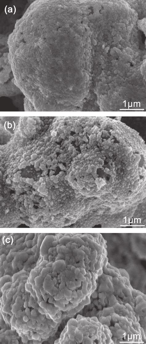 Microstructures Of The Micro Ag 2 O Pastes Heated To Different