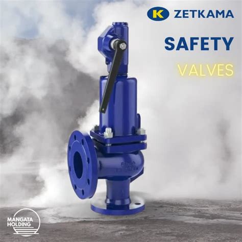 Anna Linkiewicz Rutkowska On Linkedin Valve Safetyvalve Steam