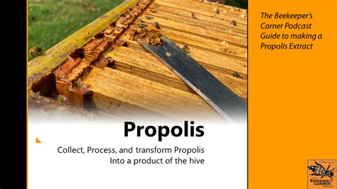 Propolis Extract Recipeprocess The Beekeepers Corner