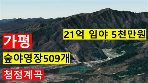 5천만원 가평 수~만평 싼임야 보전관리포함 남향 배산임수~부자터 전원생활 숲야영장 힐링숲6차산업 숲카페 숲가치96억원 탄소권1447만원 땅과함께새희망을경매임야공매임야