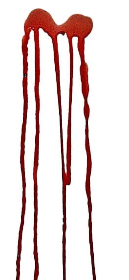 Bloodstain Pattern Analysis Training Pinnacle Forensics