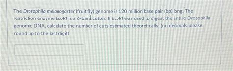 Solved The Drosophila Melanogaster Fruit Fly ﻿genome Is