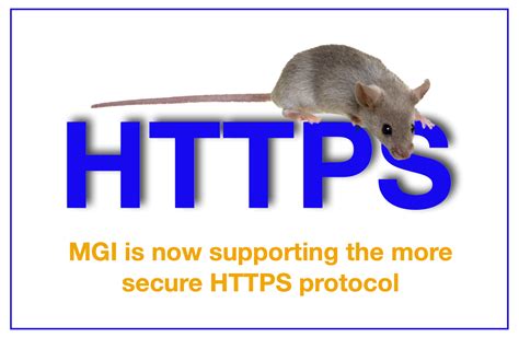 Mgi Mouse Genome Informatics The International Database Resource For The Laboratory Mouse