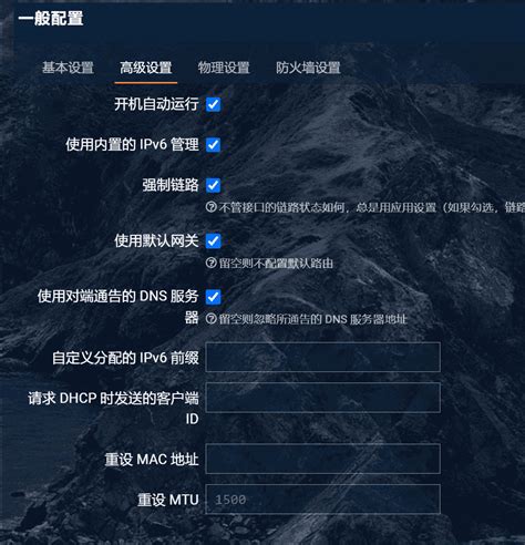 wan 设置