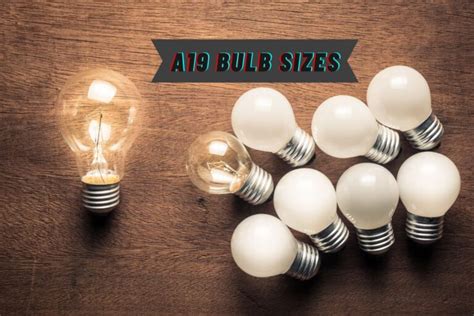 Typical A19 Light Bulb Sizes Inches And CM Attainable Home