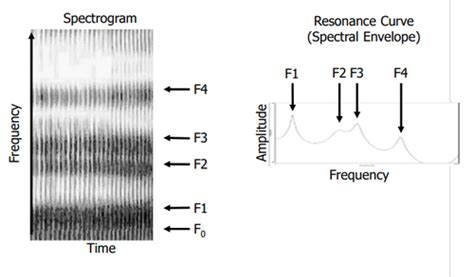 Acoustics Of Vowels Spectrogram Analysis Flashcards Quizlet