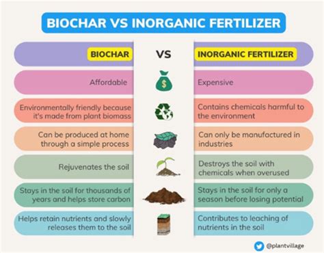 Mboni Ya Vijana To Introduce Biochar Use And Clean Seed Farms Mboni